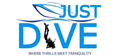 Scuba Diving in Murdeshwar | Just Dive Scuba